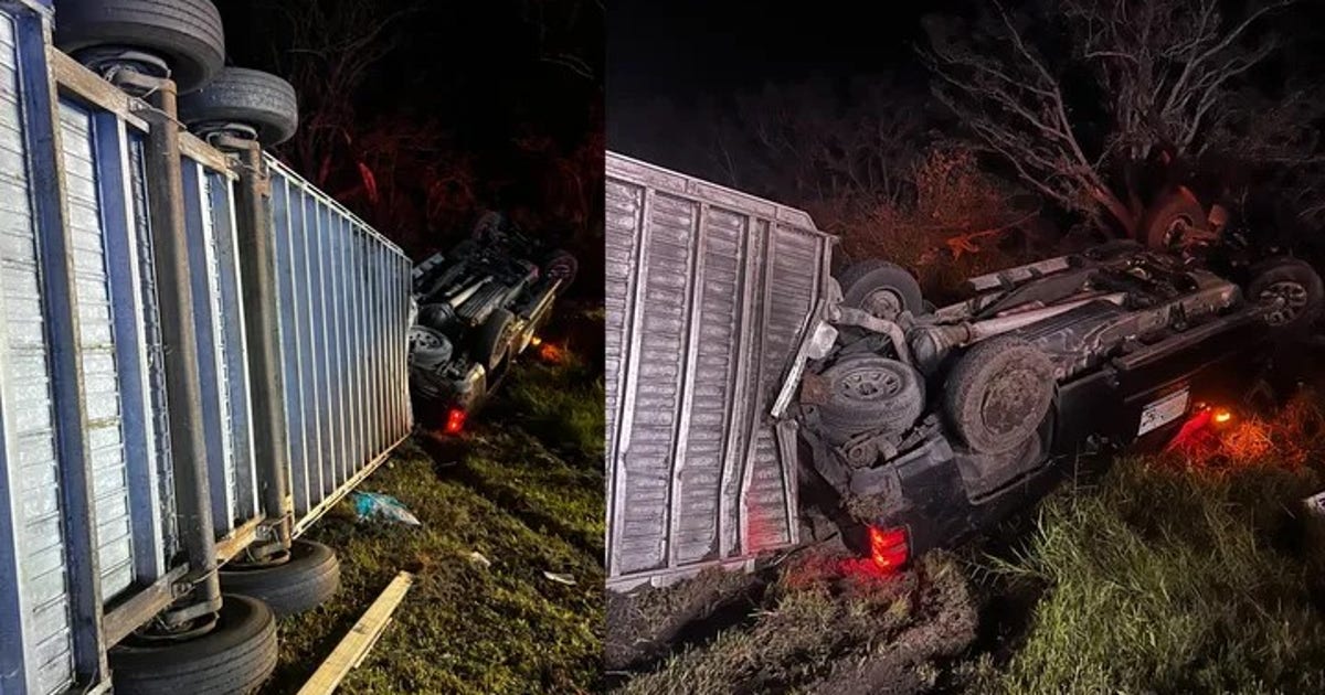 Trailer carrying eight horses hit, flipped killing one and injuring the ...