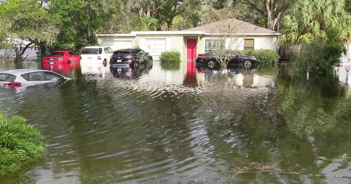 Tampa councilman continues push for independent investigation into ...