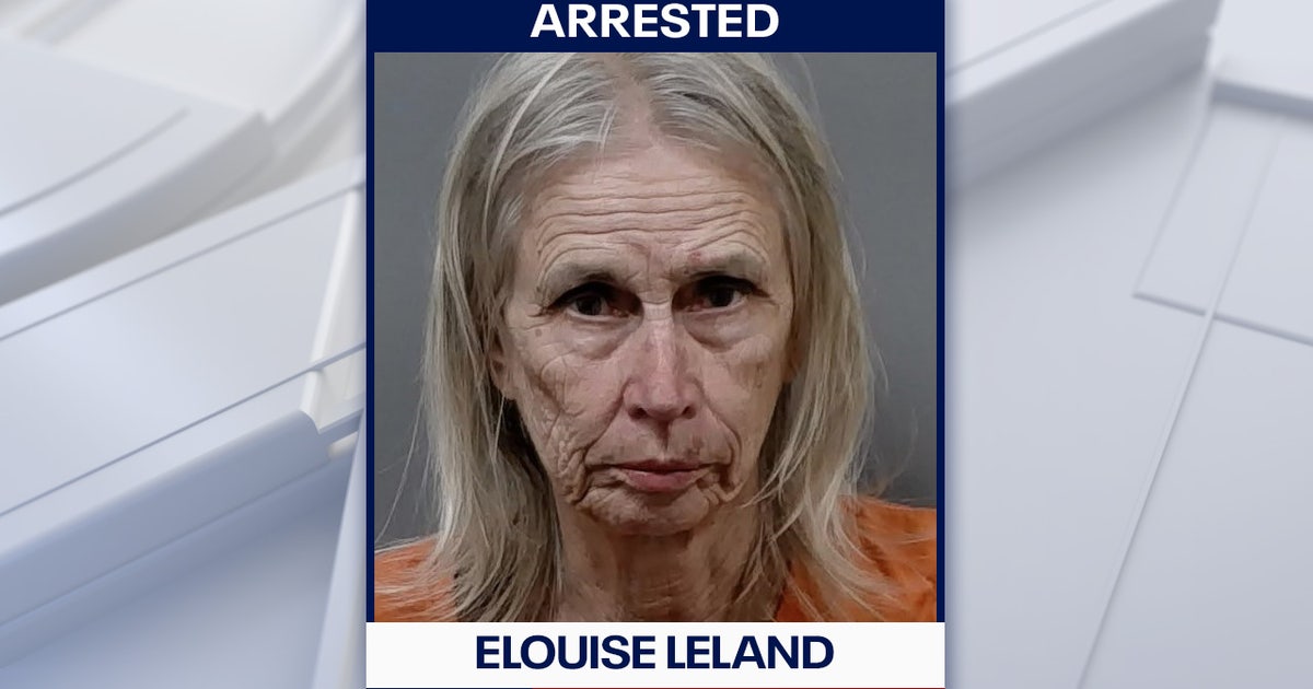 Hernando woman arrested, 90 dogs rescued from ‘deplorable’ home: CCSO ...