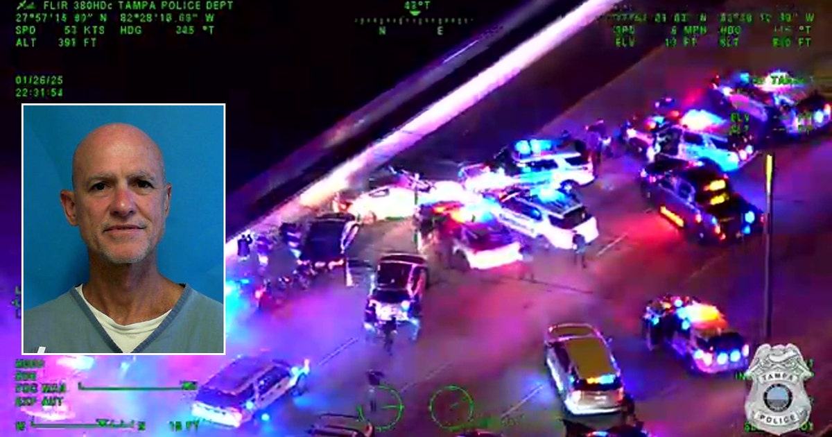 Deadly hit-and-run suspect shot & killed by police, 3 officers hurt ...