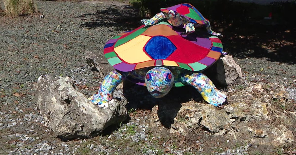 Artists use recycled cans to showcase Florida city's turtle mascot ...