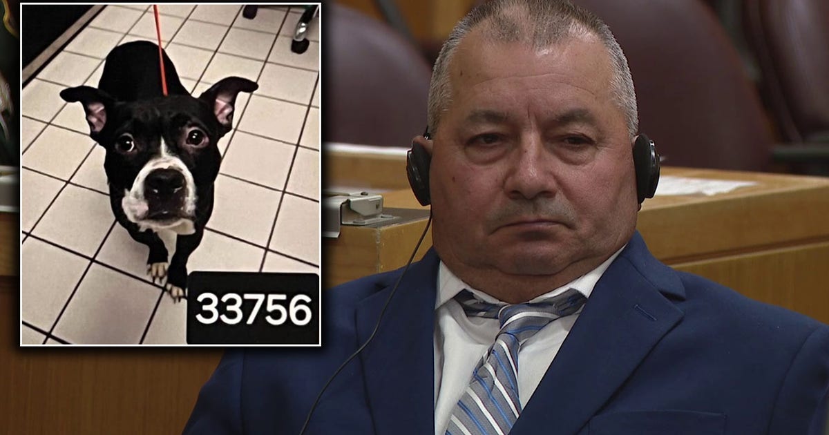Florida man convicted of decapitating his dog ‘Dexter’ wants out of ...