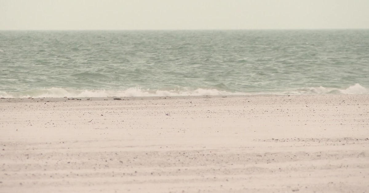 North Beach at Fort De Soto Park reopens Monday months after hurricanes ...