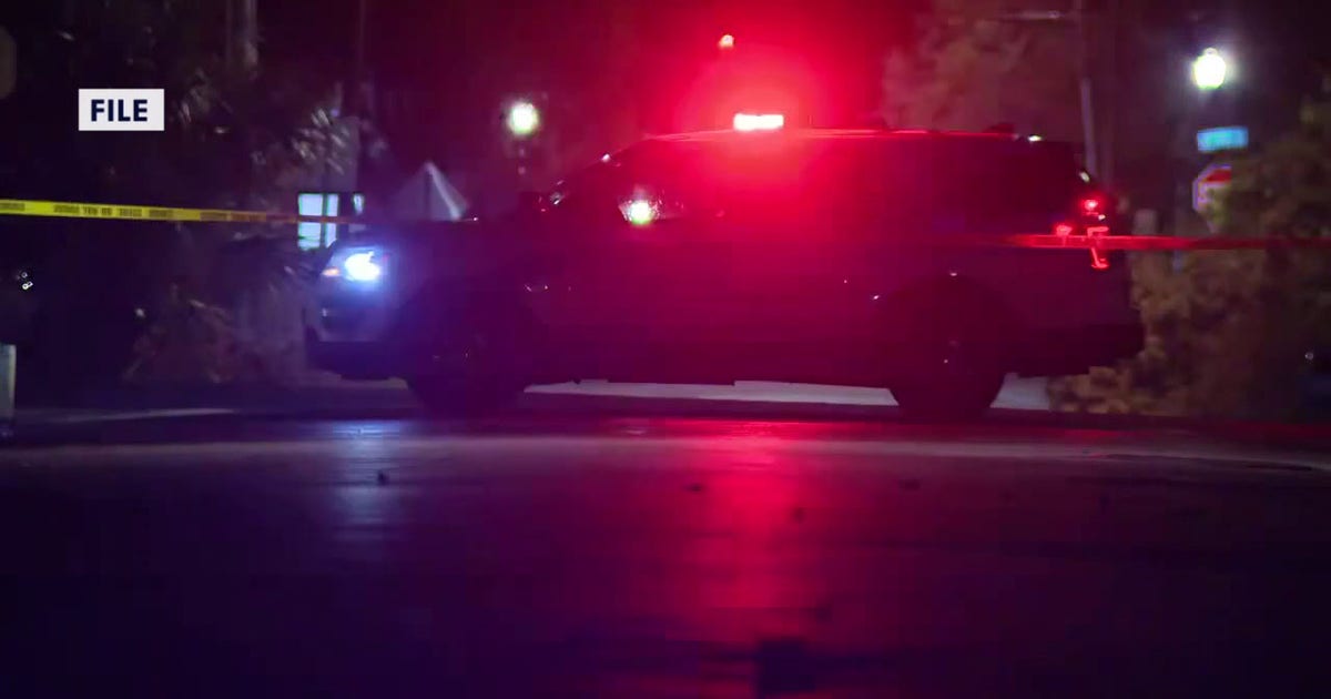 Florida hit-and-run crashes increase by 40% over last decade: Data ...