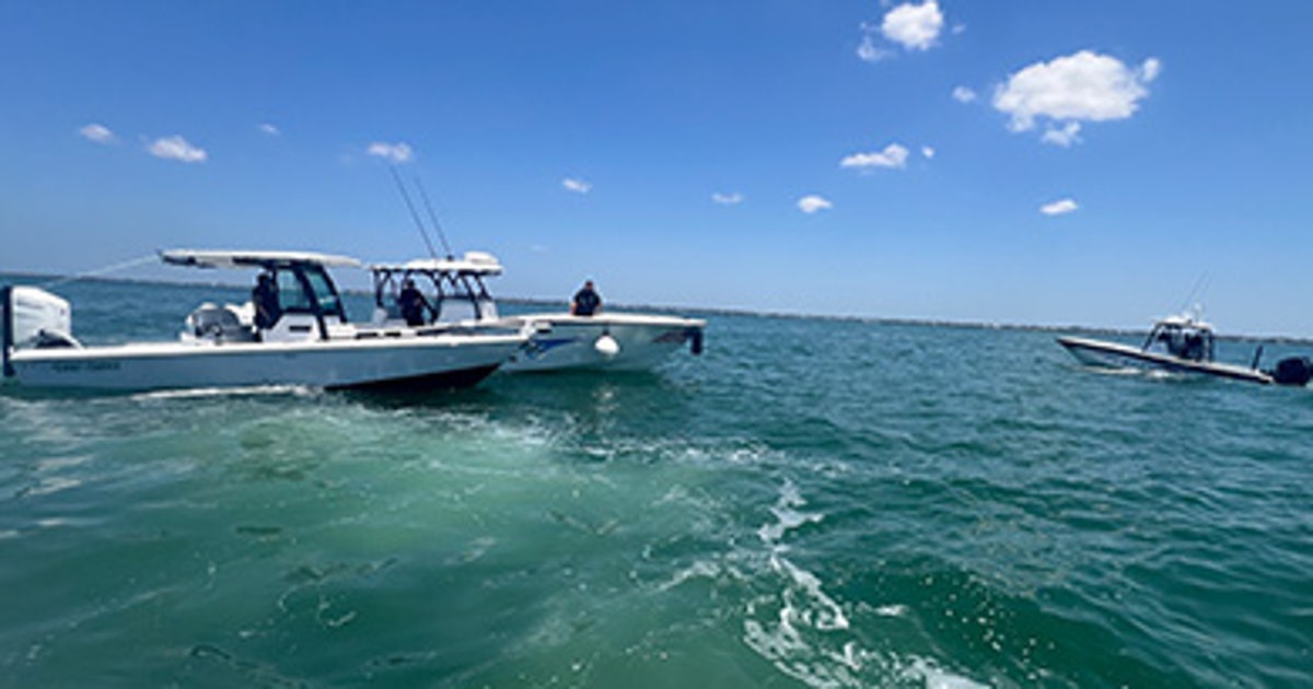Video: Florida officer leaps onto runaway boat after man thrown ...