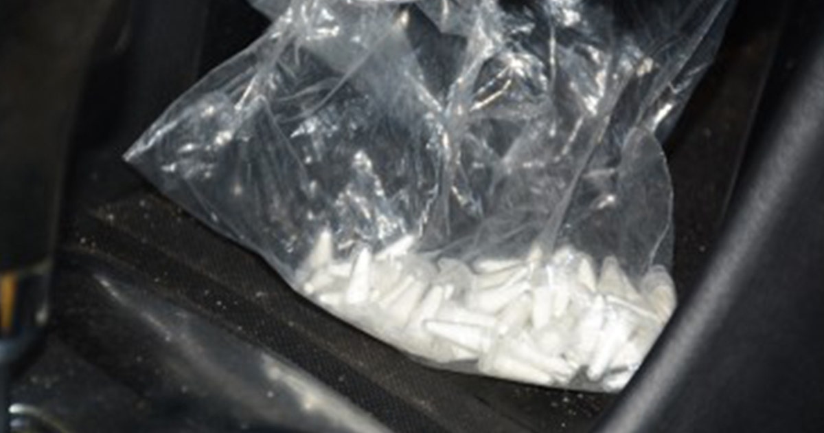 Four arrested after officers bust illegal drug operation in North Tampa ...