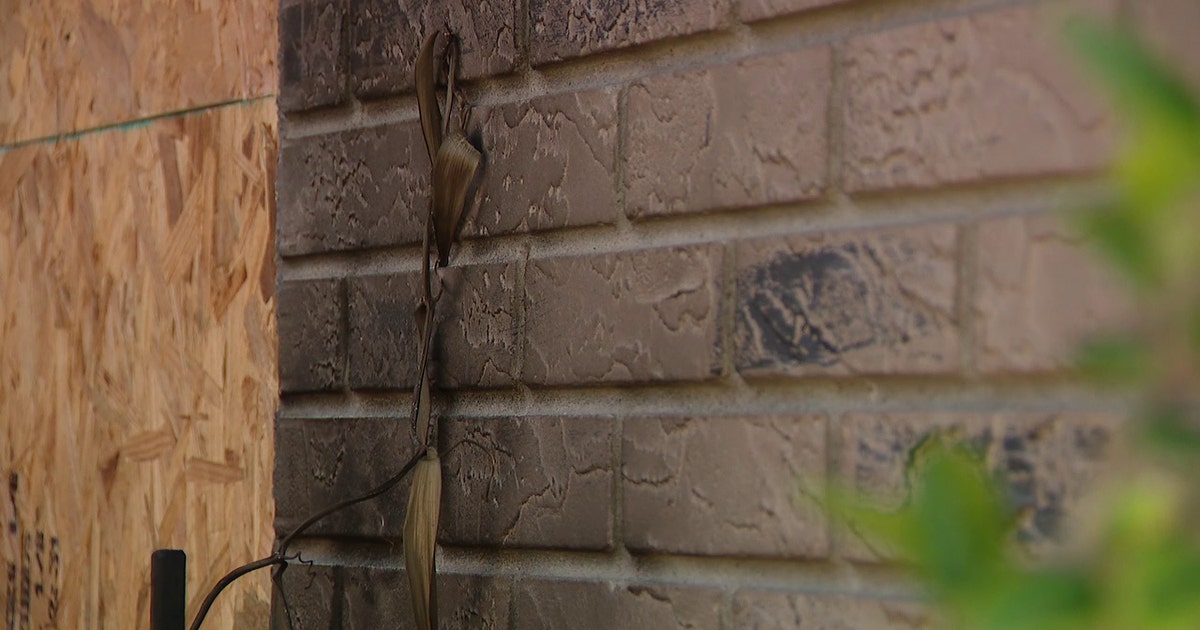 Tampa resident says glass flower vase likely caused house fire: ‘Worst ...