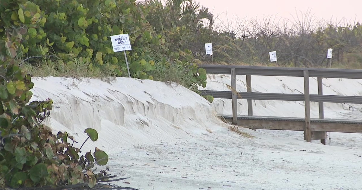 Pinellas County approves $125M sand dune project after devastating ...