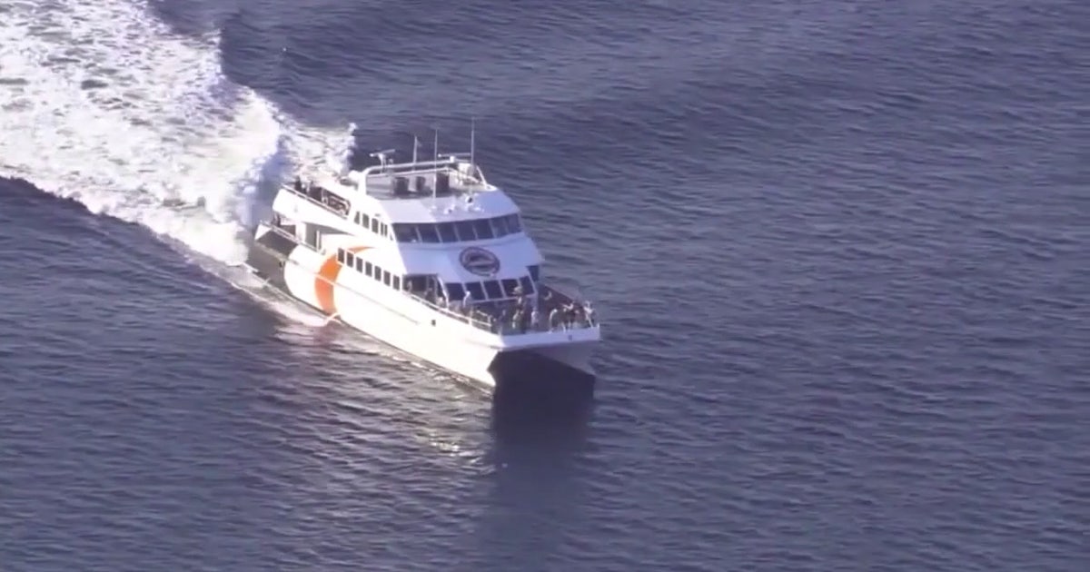 Cross Bay Ferry making a comeback after PSTA grant | FOX 13 Tampa Bay