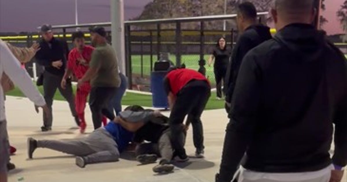 Brawl at Winter Haven youth baseball game ends with 3 arrests: police ...