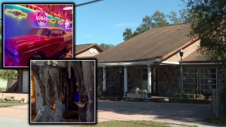 Florida Man | FOX 13 Tampa Bay