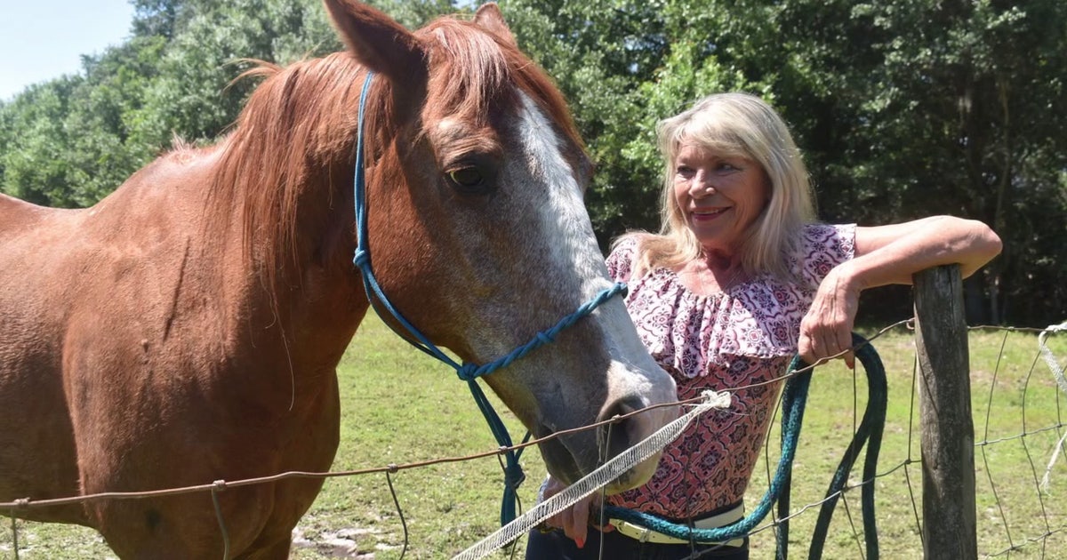 Manatee County mourns Commissioner Carol Ann Felts after sudden passing ...