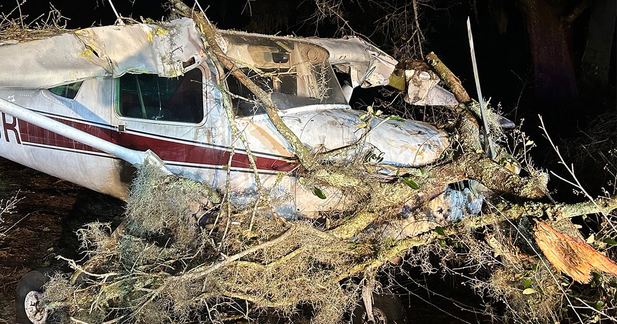 Small plane hits power lines, tree during emergency landing in ...