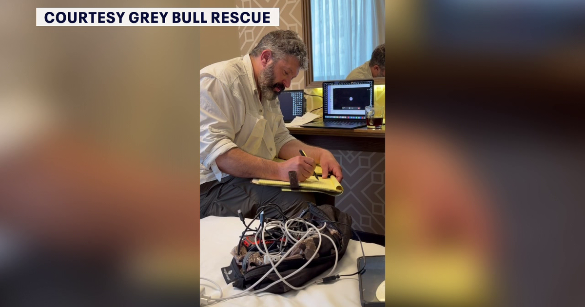 American families stranded in Israel turn to Grey Bull Rescue: 'The ...