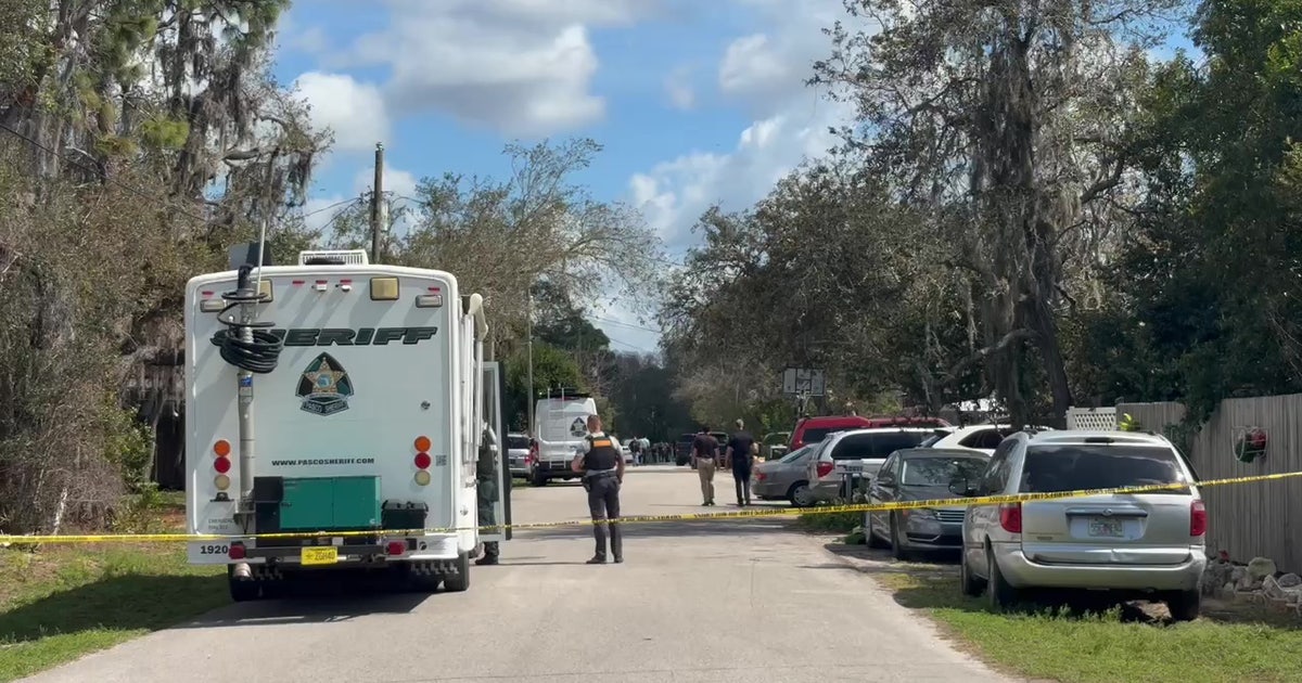 Suspect shoots, kills man clearing lot in New Port Richey before ...