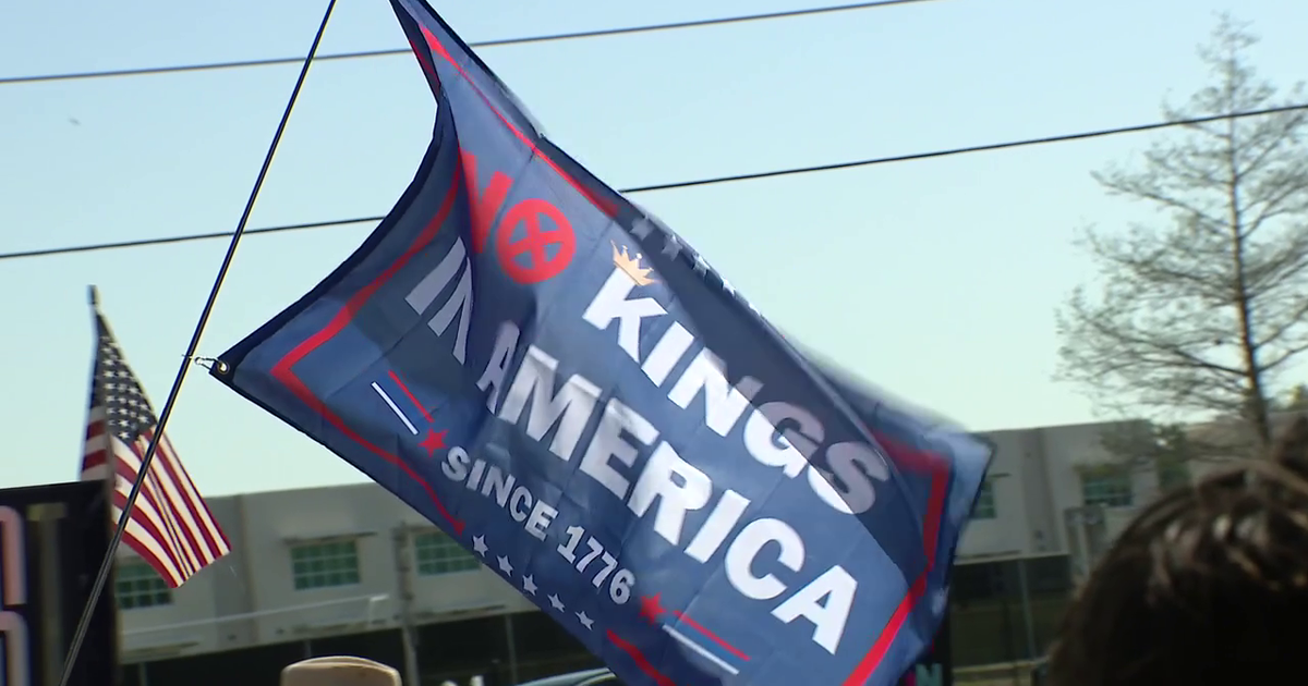 “No Kings Day" protests draw thousands across Tampa Bay for the third ...