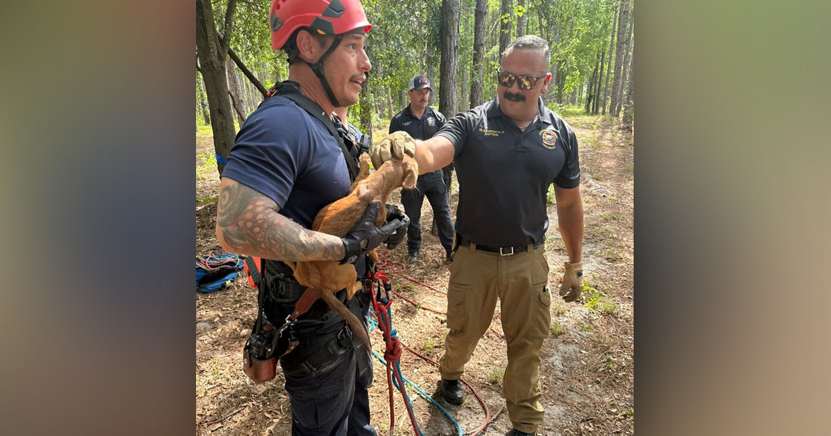 Missing Florida dog rescued from 40-foot sinkhole reunites with family ...