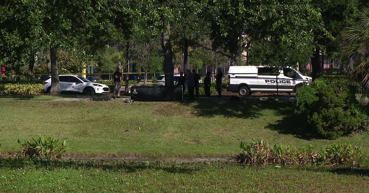Man found dead in retention pond near International Plaza in Tampa, TPD ...