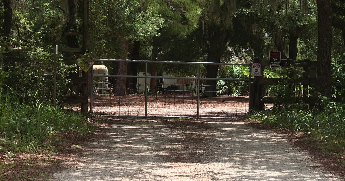 Pit bull to be euthanized after attacking Winter Haven foster mom | FOX ...