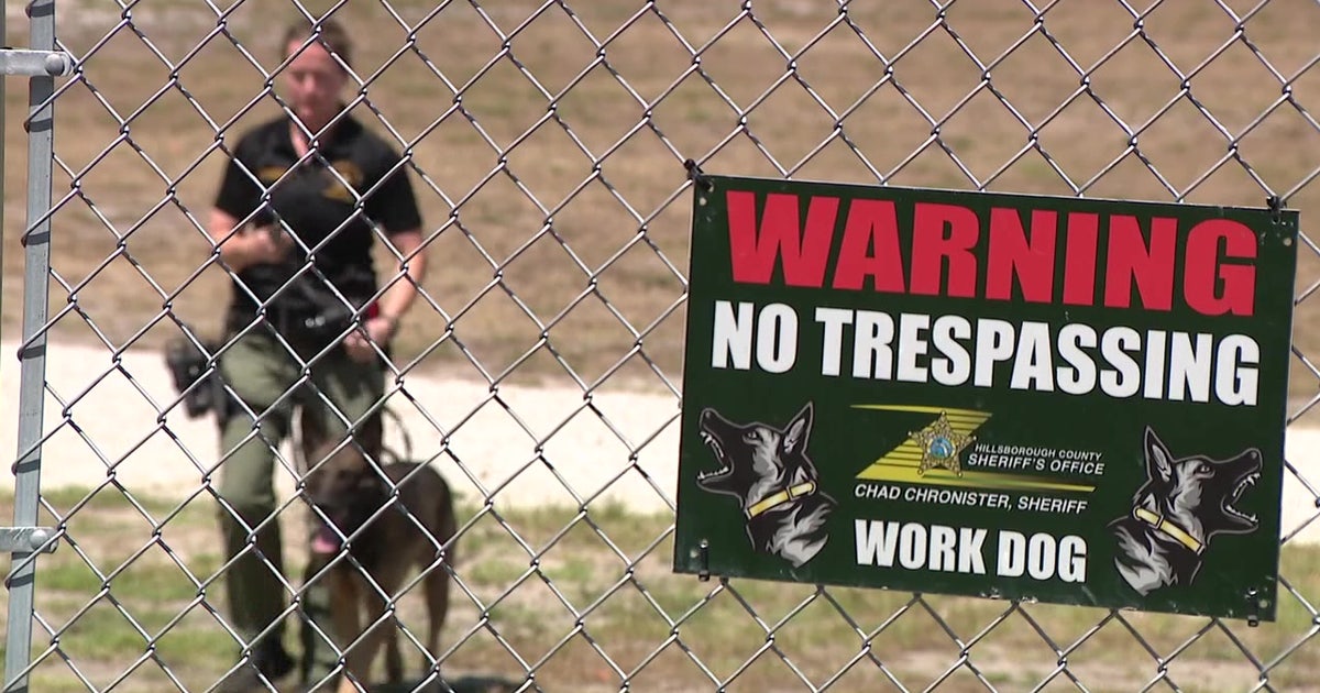 Hillsborough County Canine Training Complex: New $6 million facility ...
