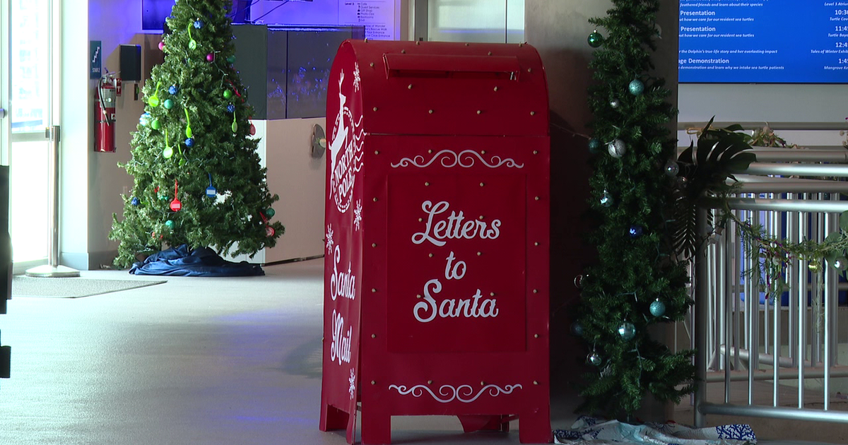 Clearwater Marine Aquarium serves as backdrop for new Christmas romance ...