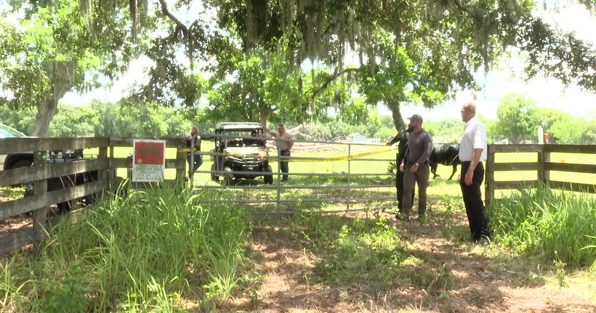 Bones found by children in Lakeland cow pasture identified: Grady Judd ...