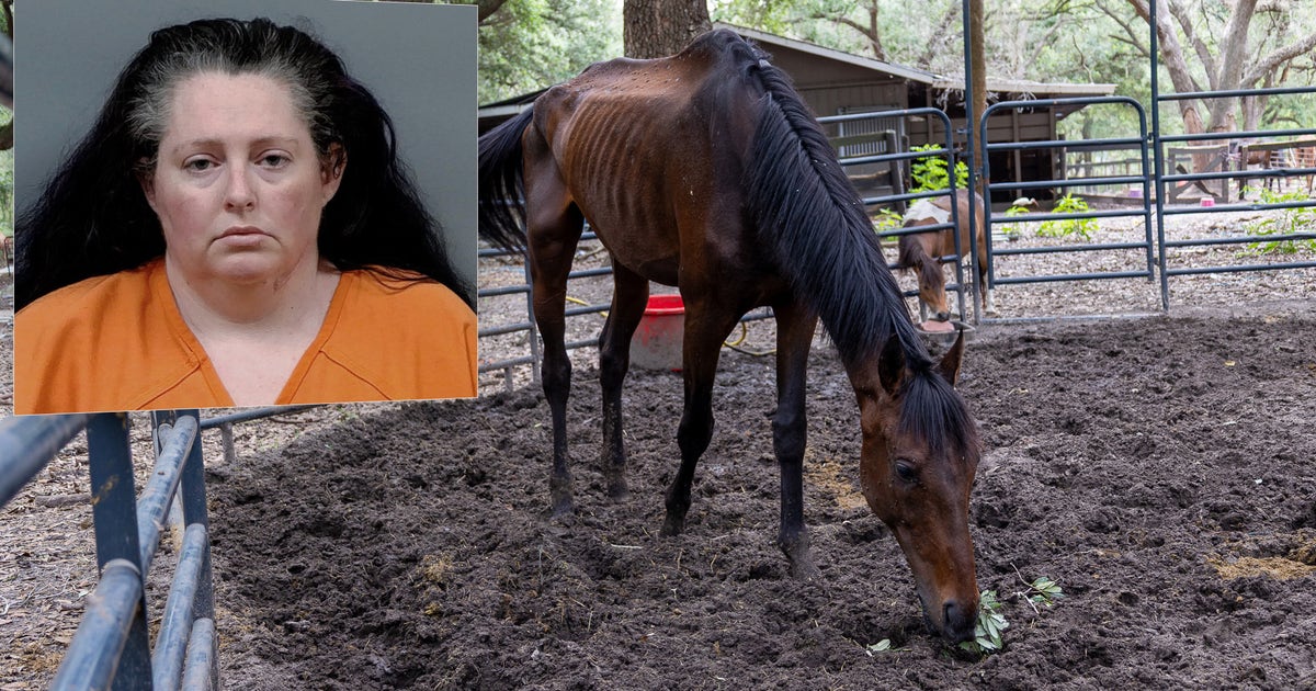 Dunnellon woman arrested after 92 neglected animals found at breeding ...