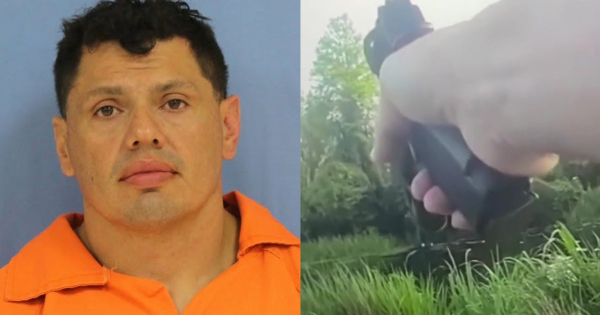 DUI suspect running from law enforcement officer attacked by alligator ...