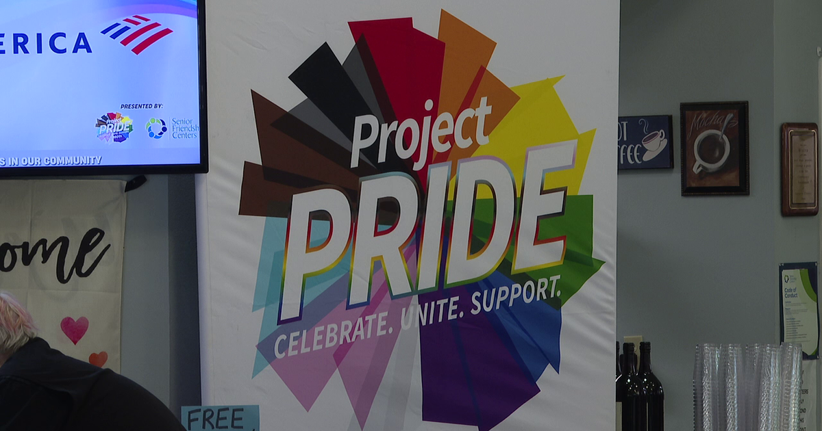 Sarasota's Silver Pride celebration shines despite funding challenges ...