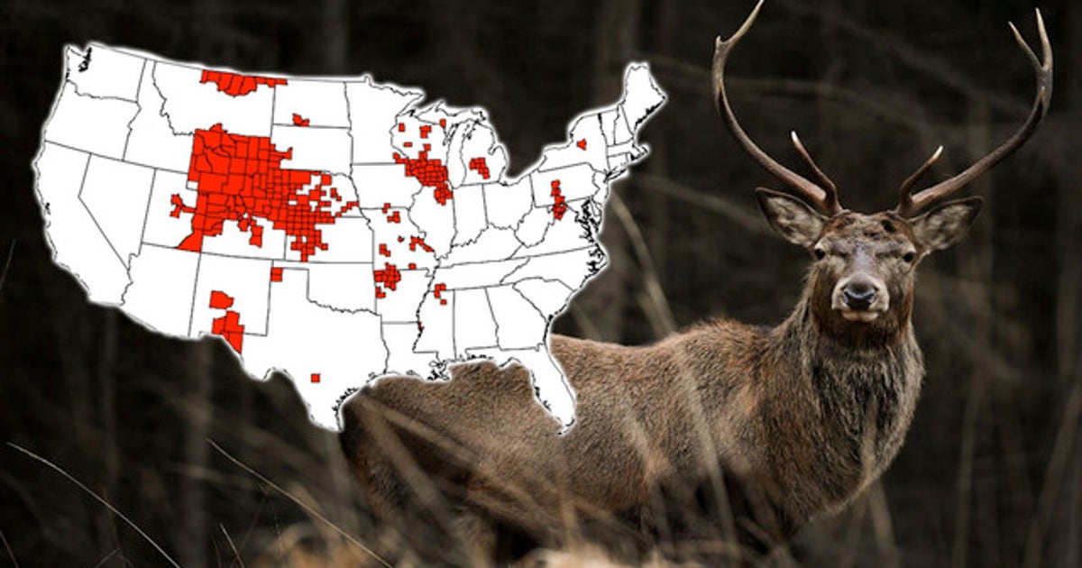 CDC: 'Zombie deer disease' spreading in U.S. could infect humans | FOX ...
