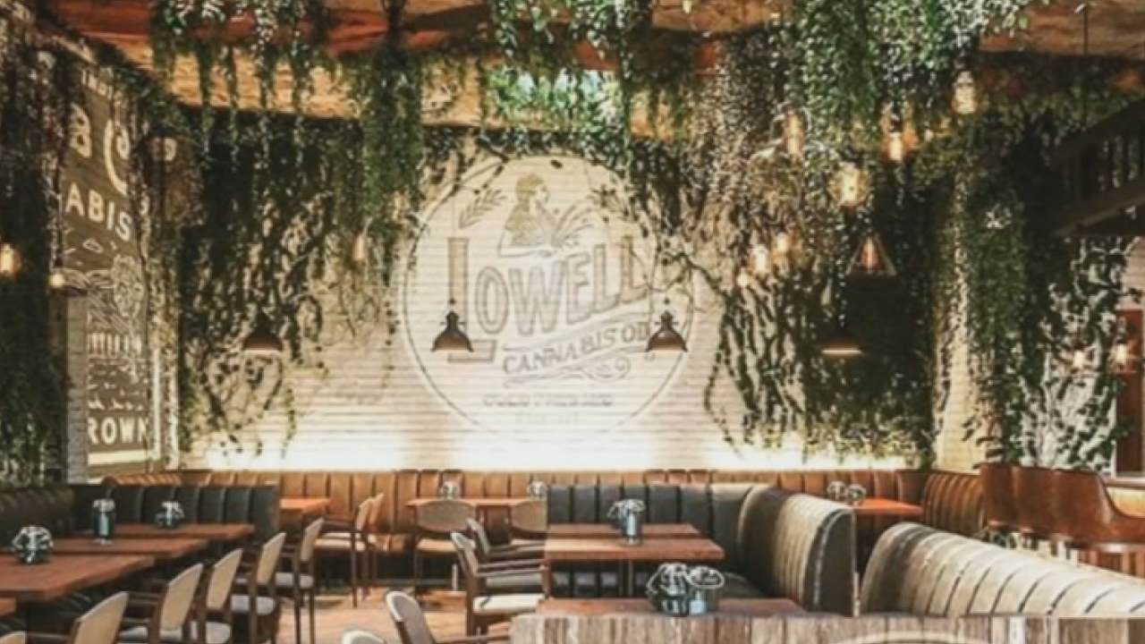 Nation's 1st farm-to-table cannabis cafe opens in California | FOX 26 ...