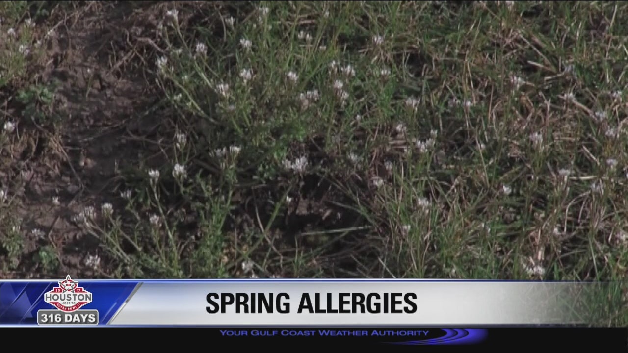 Conquering spring allergies | FOX 26 Houston