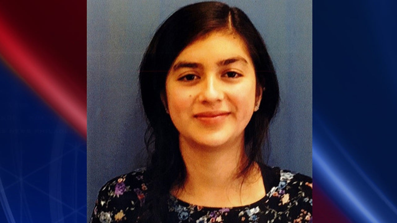 Illinois teen reported missing after missing flight in Houston | FOX 26 ...