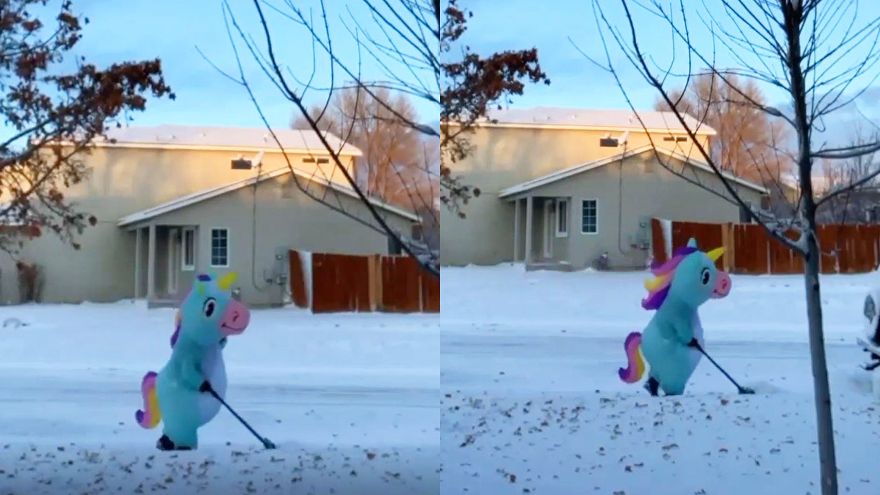 Magical work: Woman dons unicorn costume to shovel snow | FOX 26 Houston
