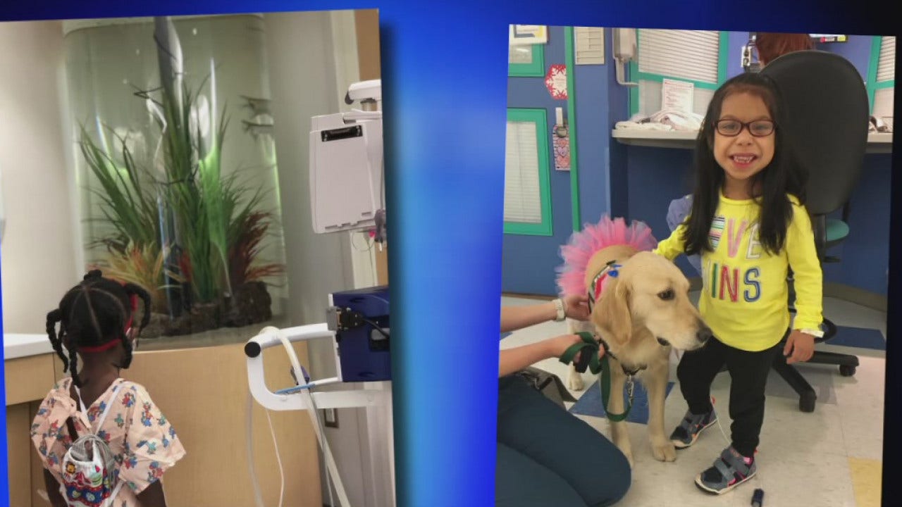 Houston-area couple adopts children with medical needs | FOX 26 Houston Houston-area couple adopts children with medical needs | FOX 26 Houston