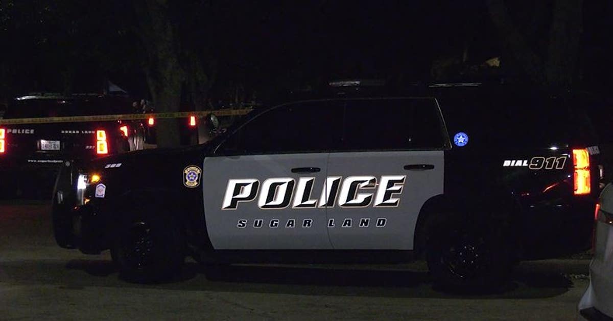 Sugar Land suspects recaptured following aggravated robbery and jail ...