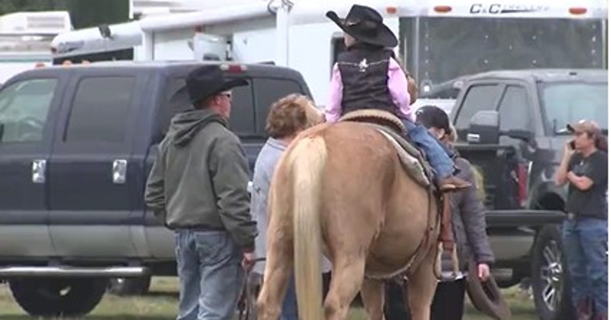 Houston Livestock Show & Rodeo: Go Texan Day encourages Western wear ...