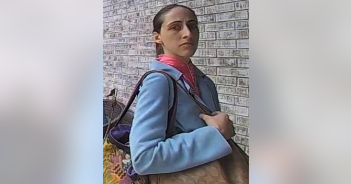 Harris County deputies searching for missing woman who may be in mental ...