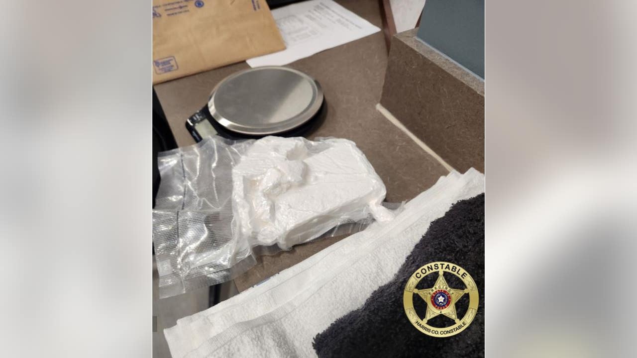 Harris County woman says she received half a kilo of cocaine in the ...