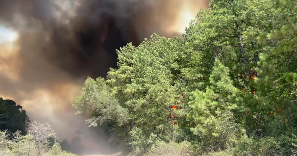 Wildfires burning across Texas, burn ban expected to be issued Tuesday ...