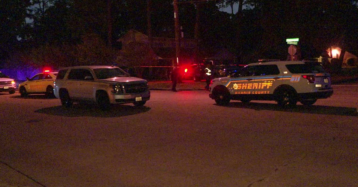 Harris County: Woman fatally struck by vehicle on West Cypress Forest ...