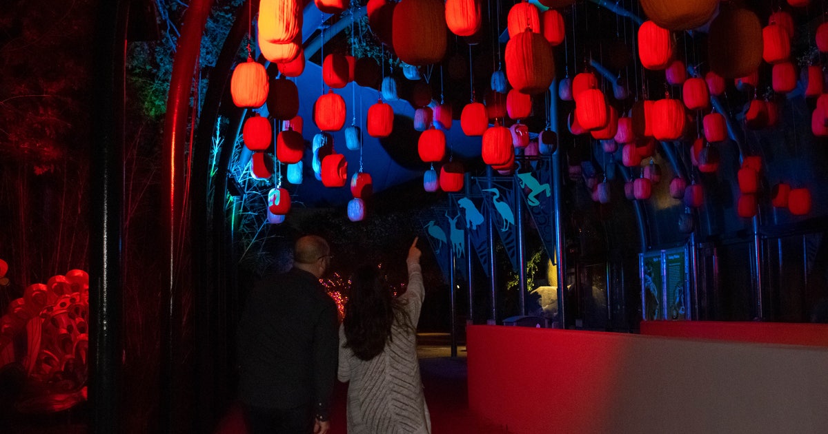 Houston Zoo Boo 2023: Tickets, dates, After Hours times, and more | FOX ...