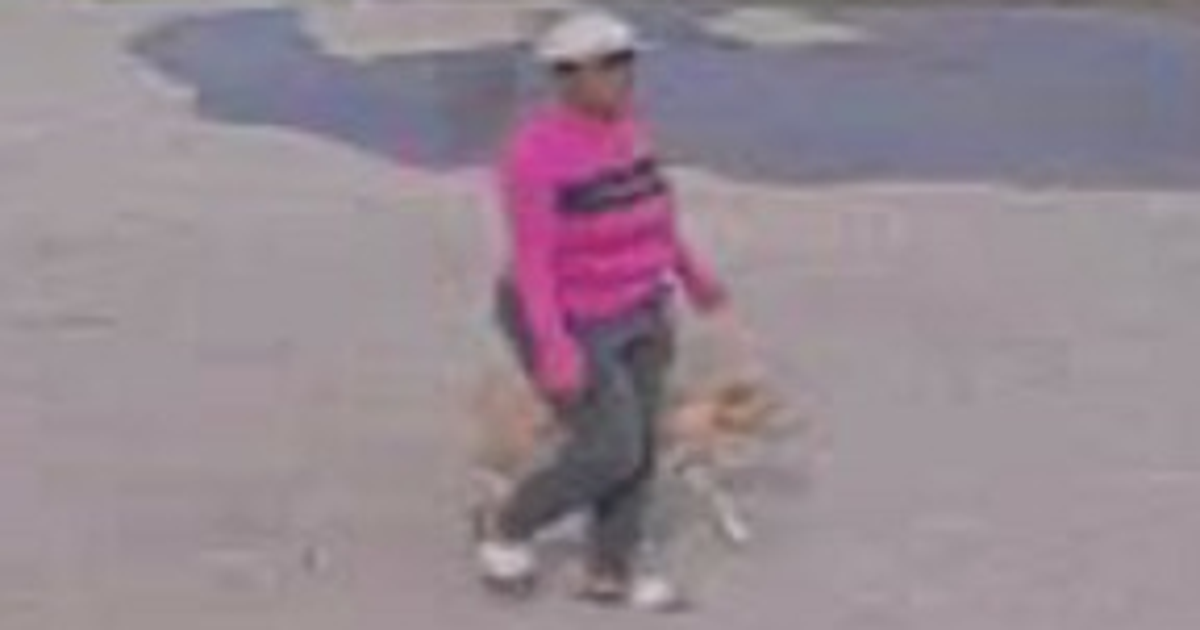 Humble woman seen leaving dog to die while tied to dumpster, police ask ...