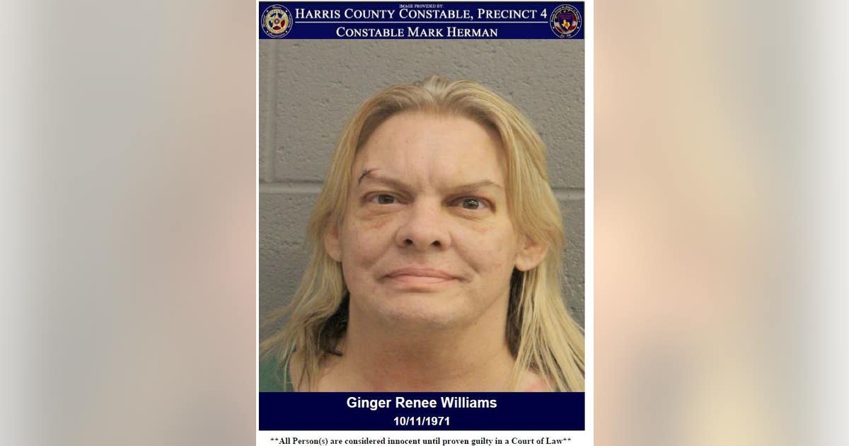 Harris County crime: Woman with prior DWI record crashes into parked ...