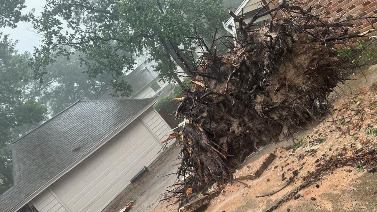 Hurricane Beryl debris cleanup: Key dates and what you need to know ...