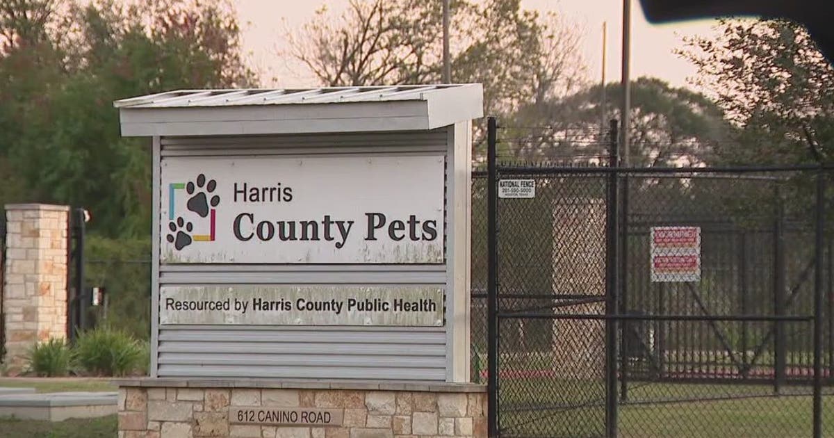 Volunteers say new euthanasia policy at a Harris County Shelter is ...
