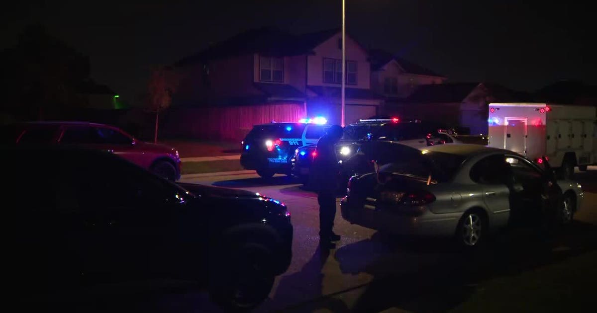 Houston police investigating deadly dog attack | FOX 26 Houston