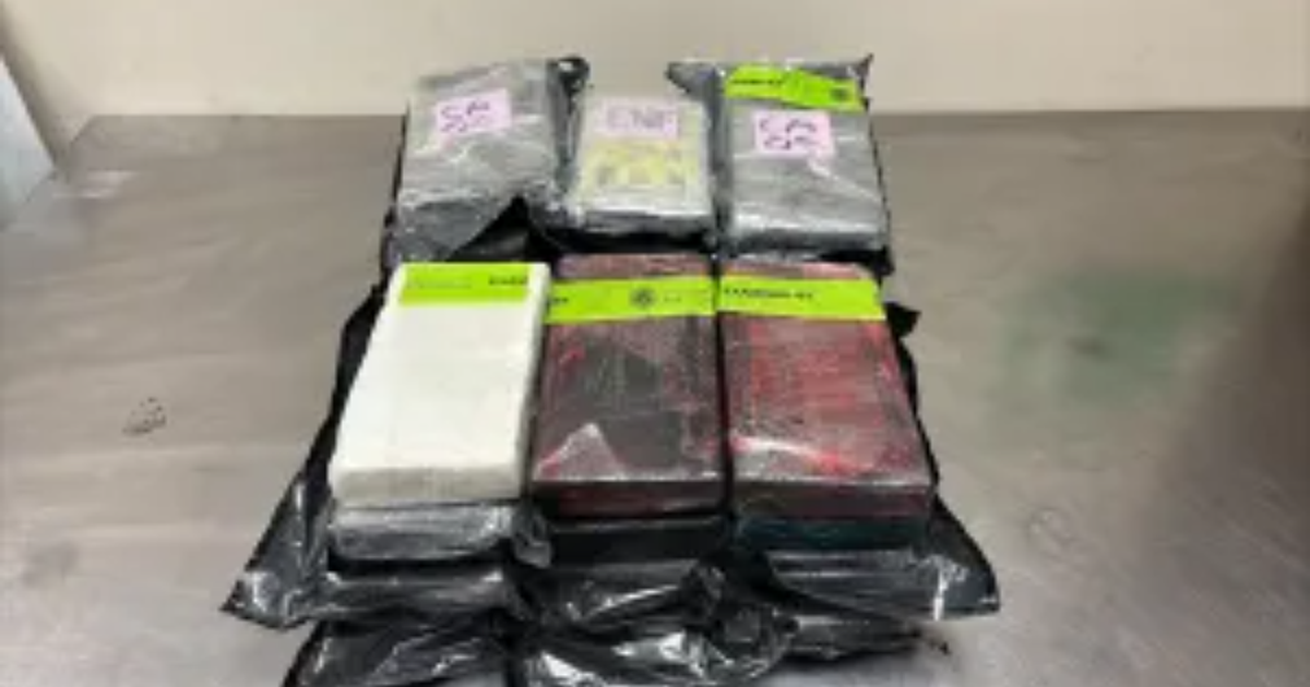 Texas Border Patrol seizes nearly 64 pounds of cocaine on Easter Sunday ...