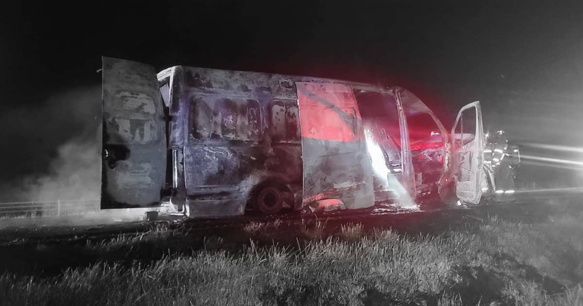 Cypress, TX: Rescue dogs killed in car fire | FOX 26 Houston