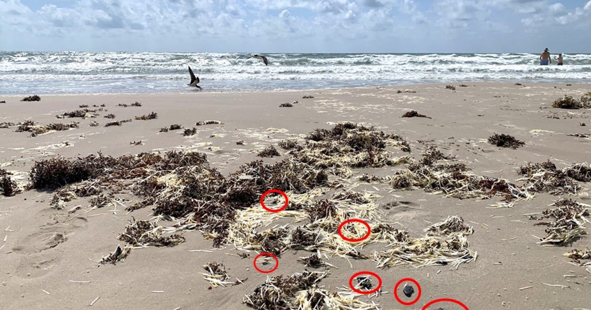 Tar balls appearing on Texas beaches | FOX 26 Houston
